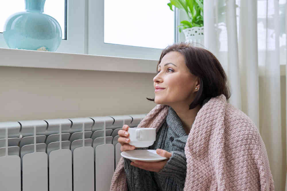How Heat Pumps can Help You Save this Winter – Elite Climate Control ...